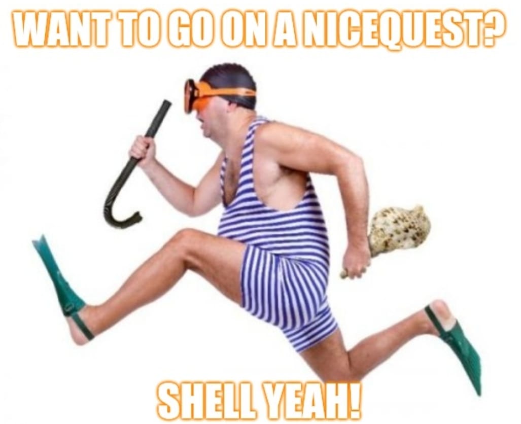 Meme Contest Winners! | Nicequest Blog