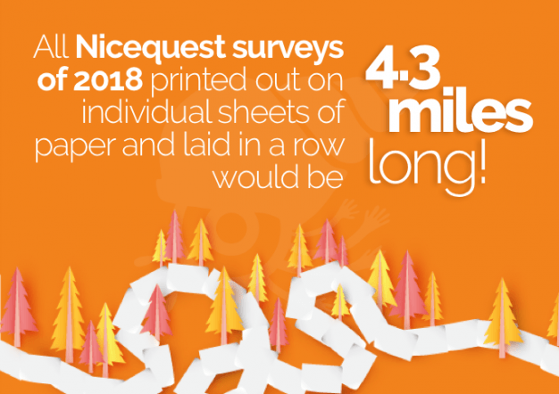 8 nice things that happened in 2018 | Nicequest Blog